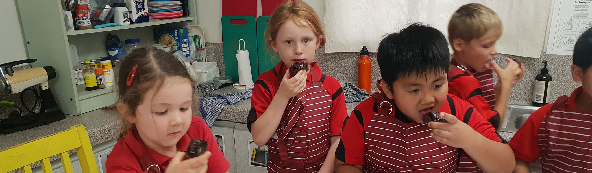 Comet State School